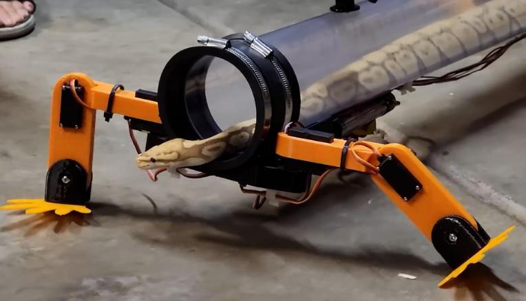 YouTuber Allen Pan Gives Snake Robotic Legs