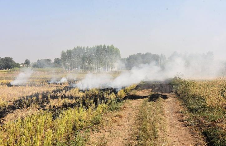 Explained: How Panipat's 2G Ethanol Plant Plans To Boost Production And ...