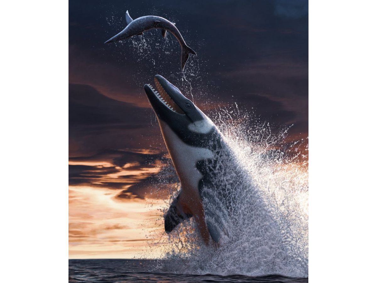 Fossils Of A Massive Sea Lizard That Ruled The Oceans 66 Million Years ...