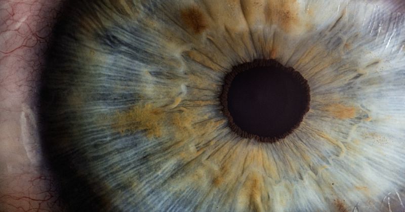 Nation’s First 3D Printed Cornea Developed By IIT Hyderabad, LV Prasad ...