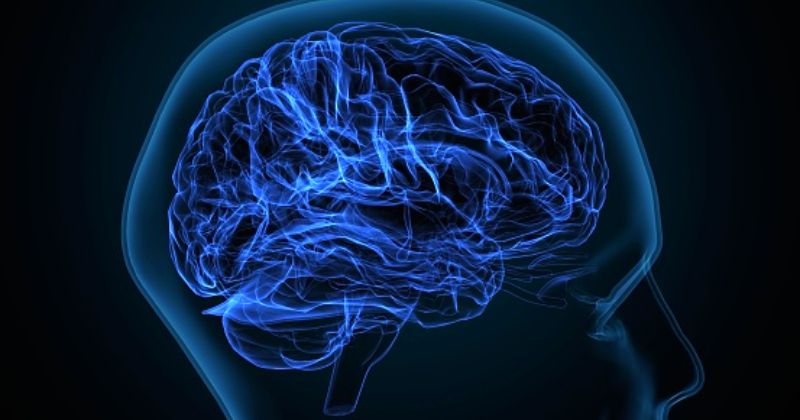 Electric Current To Brains Of Older Adults Improved Their Memory, Study ...