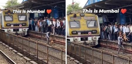 Man Jumps Onto Railways Tracks, Saves Dog From Oncoming Train