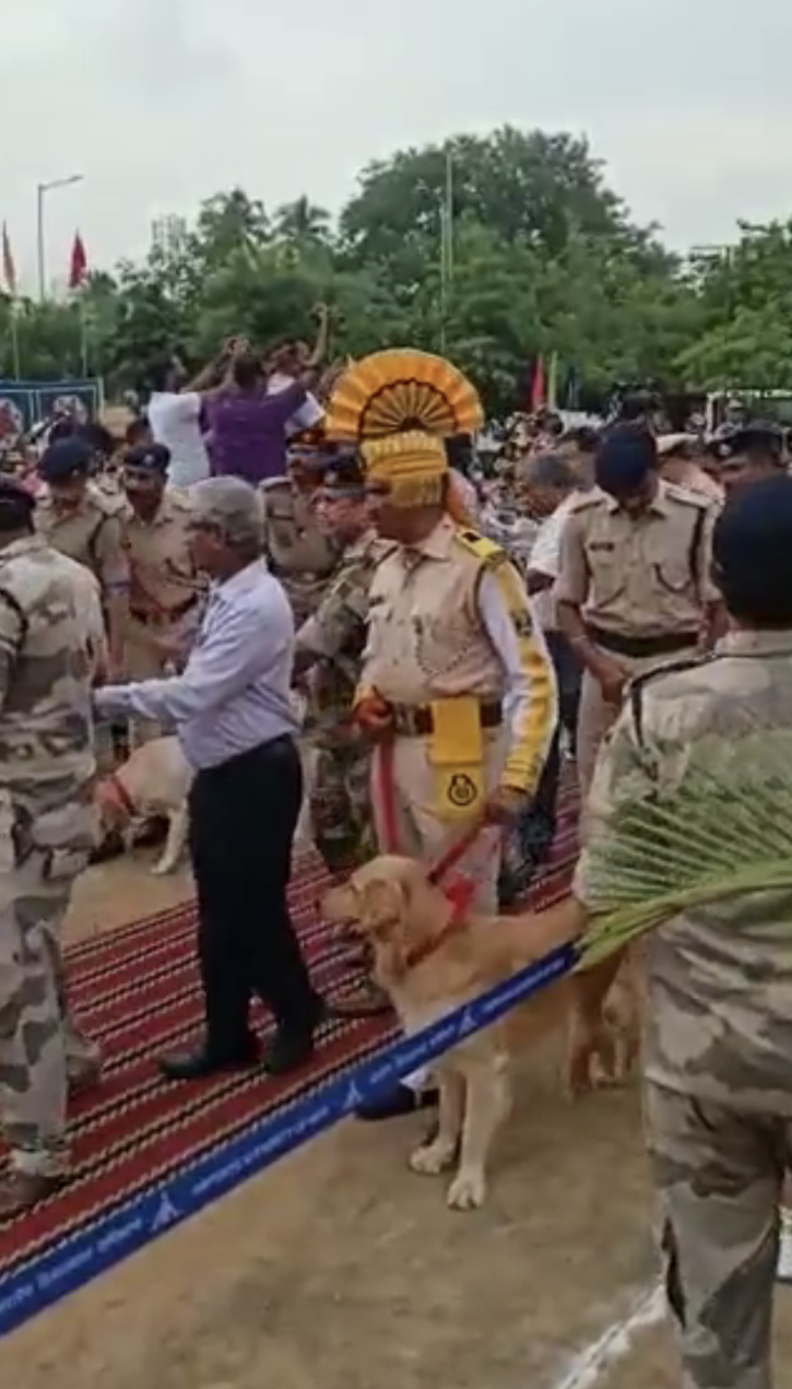 Red-Carpet, Rose Petals: CISF Dog Rani Given A Heartwarming Farewell ...