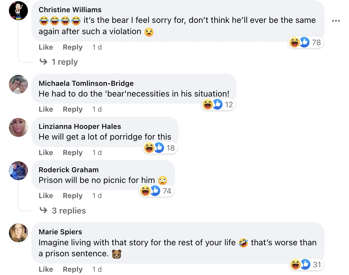 'Hope He Has A Bear-able Time Inside Jail': Police Catches Thief Hiding ...