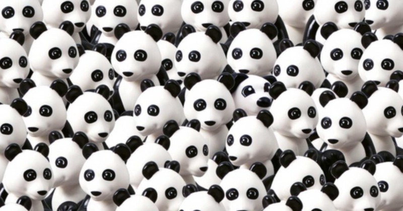 Optical Illusion: Can You Spot The Dog Hidden Among The Pandas?