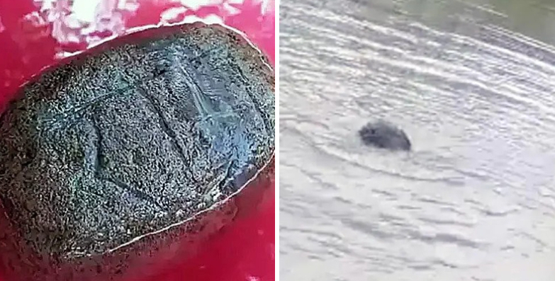 Stone Found 'Floating' In UP River