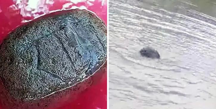 Stone Found 'Floating' In UP River