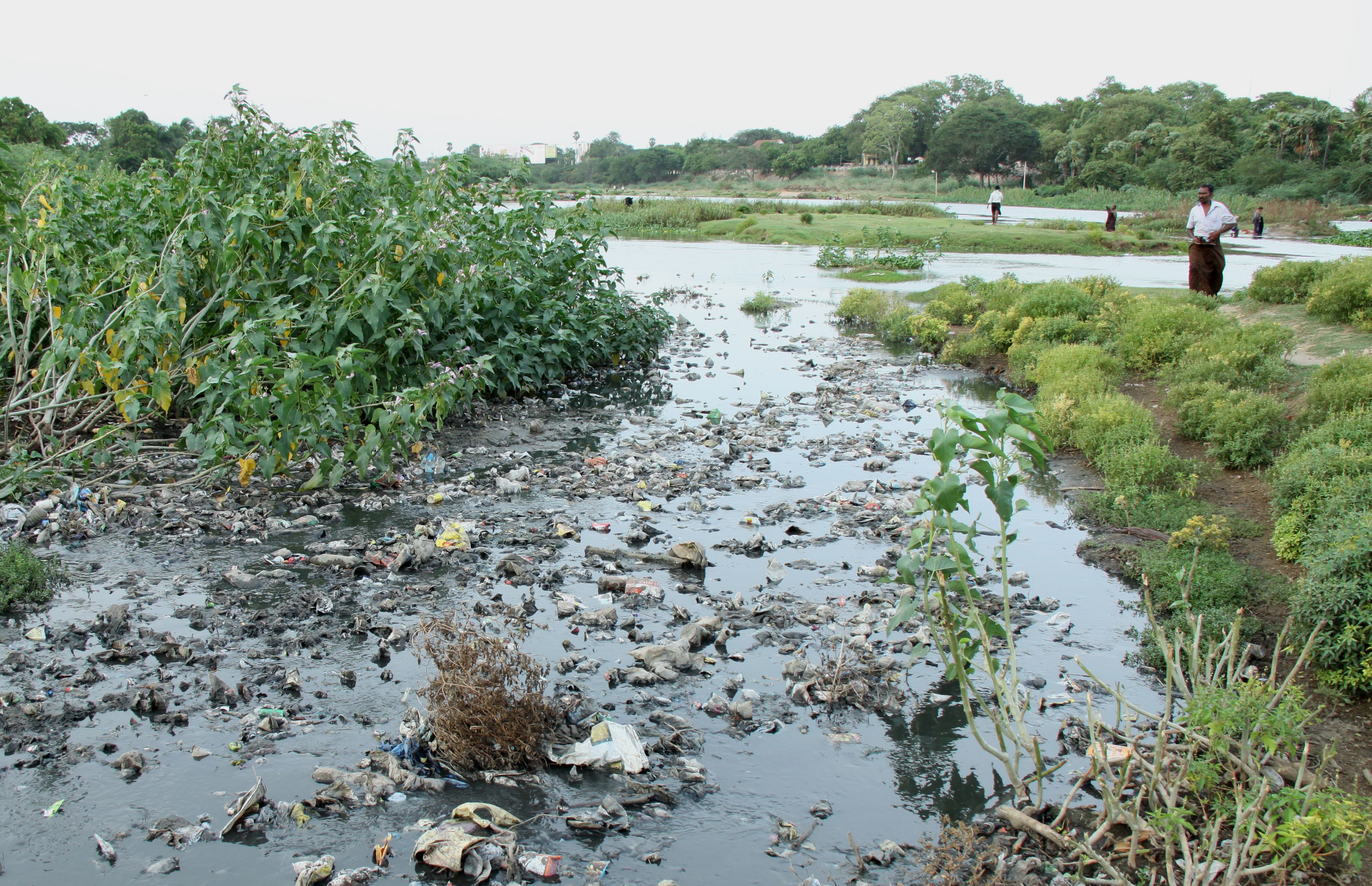 Environmentalist Who Rejuvenated A Vadodara Stream Now Cleaning 120-KM ...