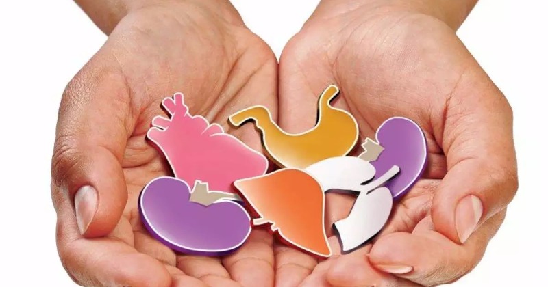 World Organ Donation Day: Everything You Need To Know About Organ Donation