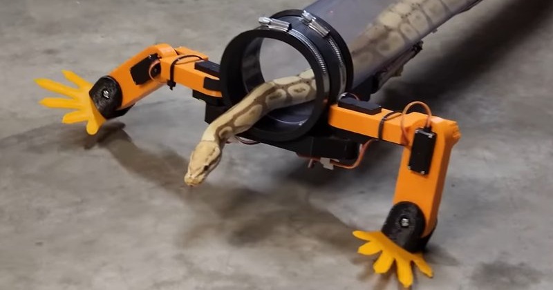 YouTuber Allen Pan Gives Snake Robotic Legs