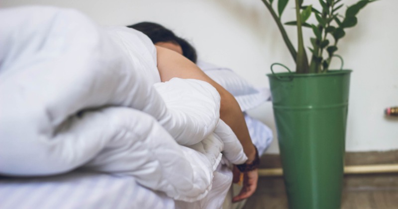 'Get Paid To Sleep': US Mattress Firm Is Looking For Professional ...