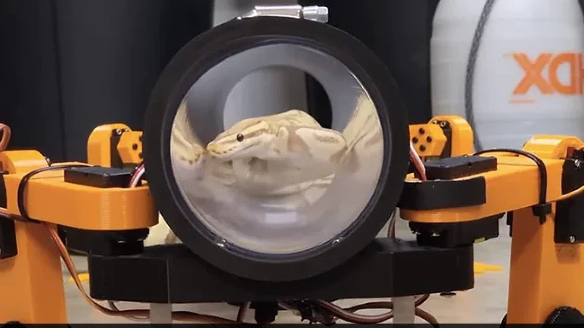 YouTuber Allen Pan Gives Snake Robotic Legs