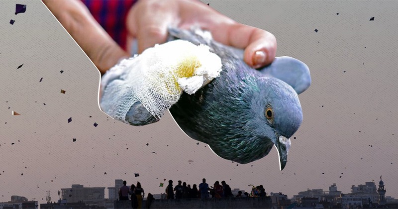 The Leftover Of Kite Flying Celebrations - A Lot Of Broken Strings And ...