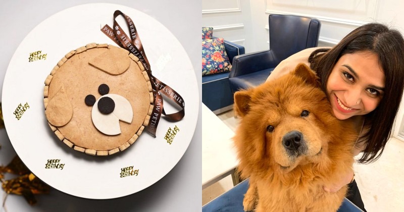 She Started Baking For Her Dog, Now Her Bakery For Pets Has An Annual ...