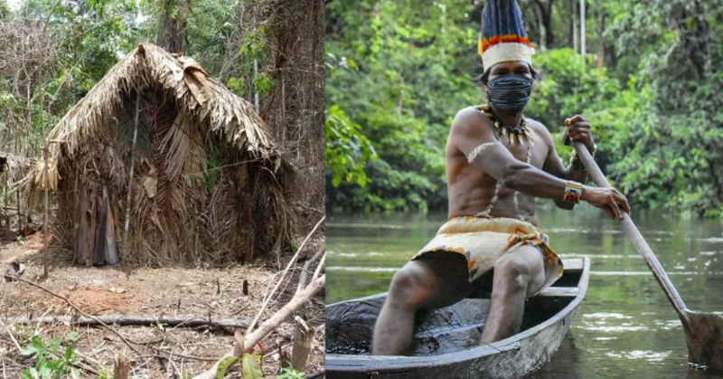 Amazon जंगल की दुर्लभ जनजाति के आखिरी व्यक्ति ‘मैन ऑफ द होल’ की मौत, 26 ...