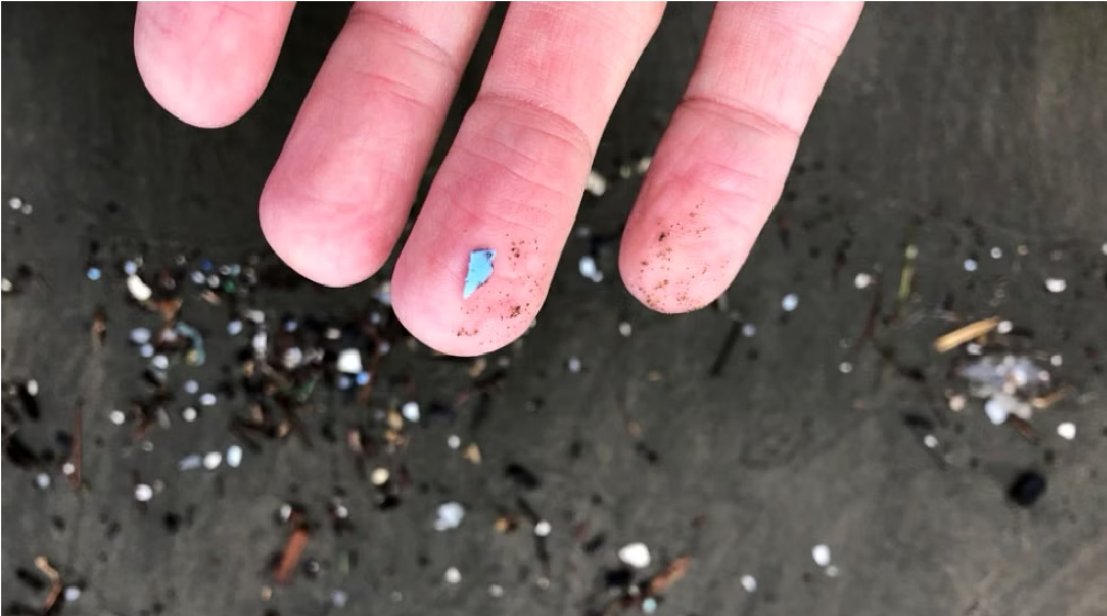How Is Microplastic Rain In New Zealand A Warning Bell?