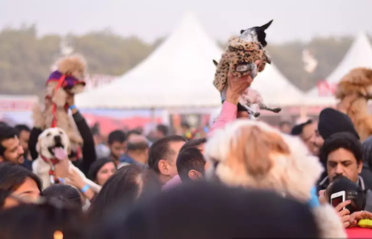 Events In December 2022 - Pet Events