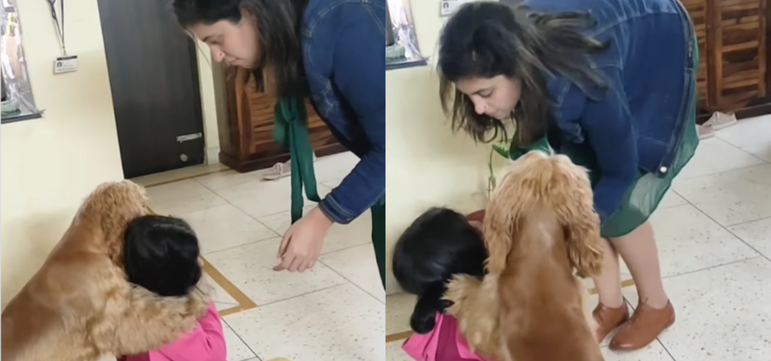 Dog Protects Little Girl From Being Hit