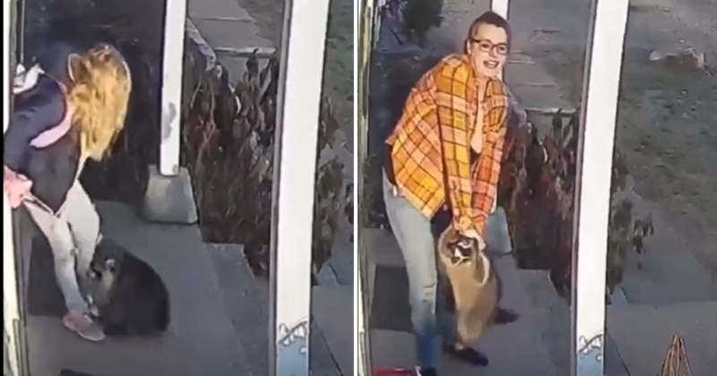 Woman Saves Daughter From Raccoon Attack