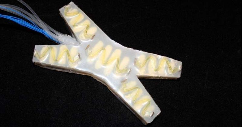 This Robot Can Detect Damage To Its Body, Heals Itself And Even Moves ...