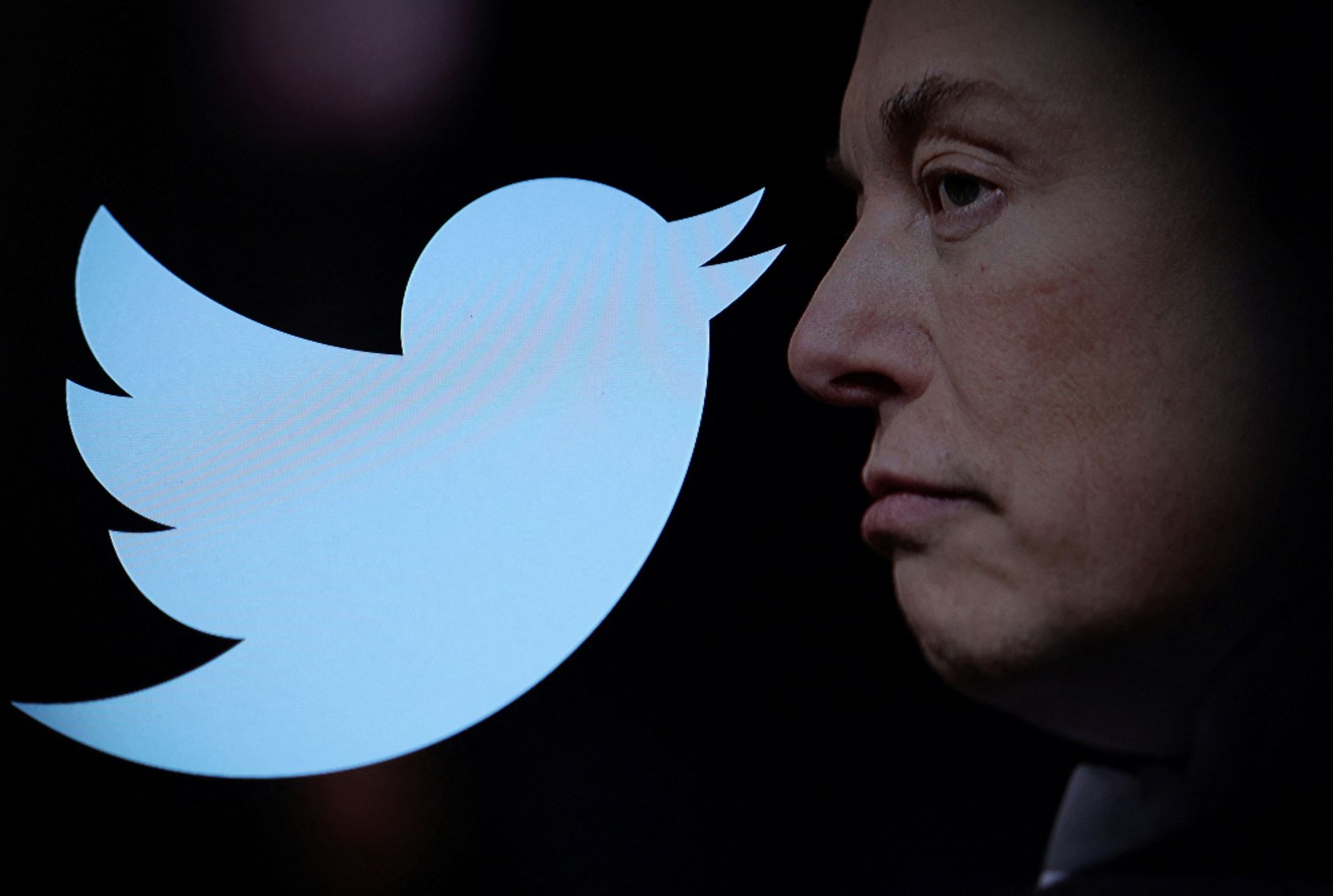 Elon Musk's Turbulent Timeline At Twitter: How One Man Ruined Internet ...
