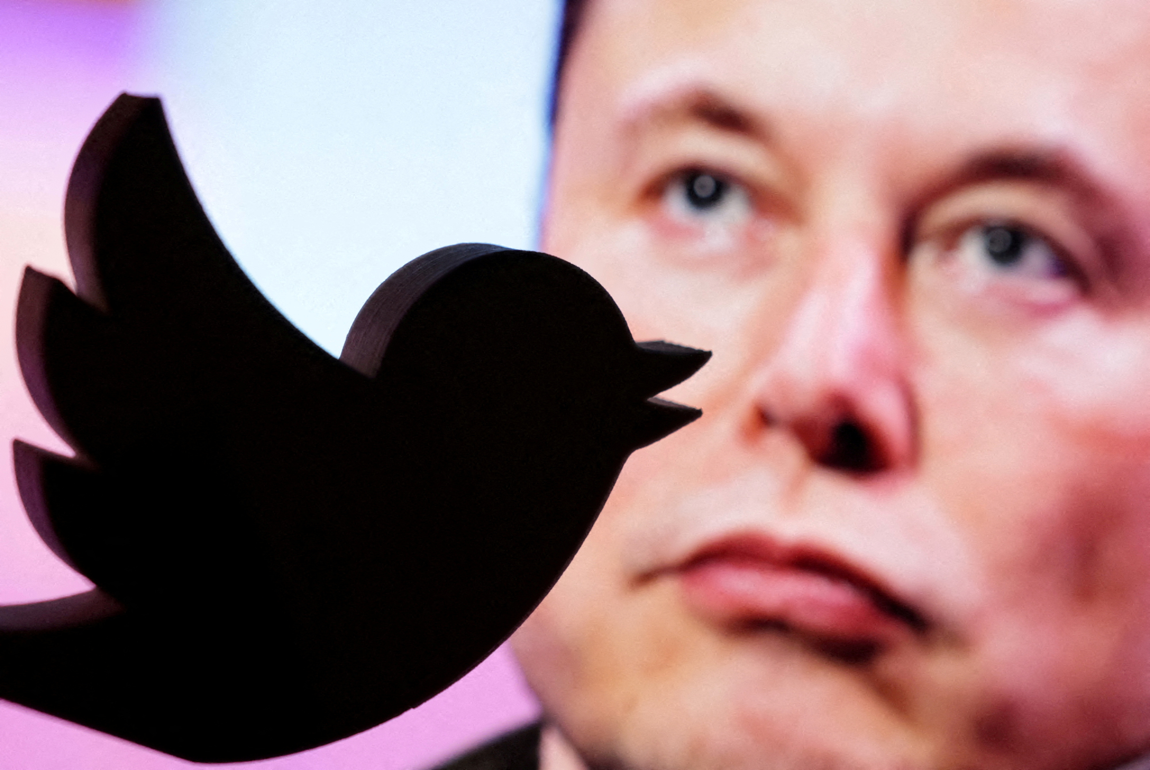 Elon Musk's Turbulent Timeline At Twitter: How One Man Ruined Internet ...