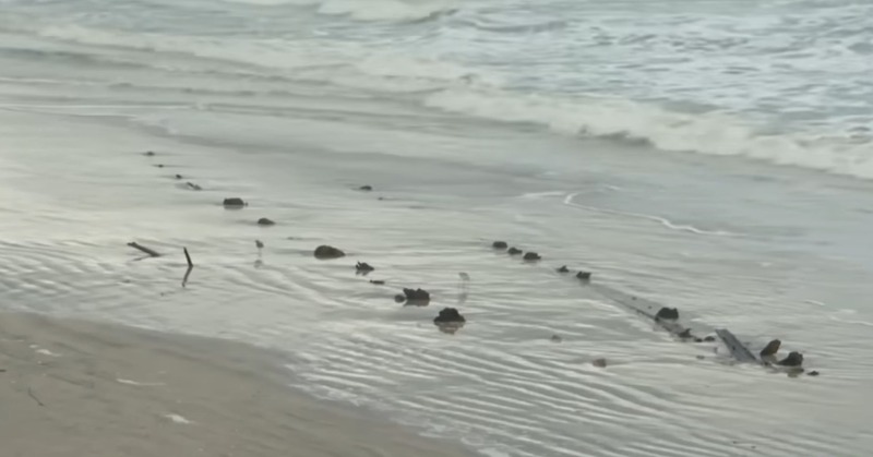 Strange 80-ft Object Discovered On US Beach