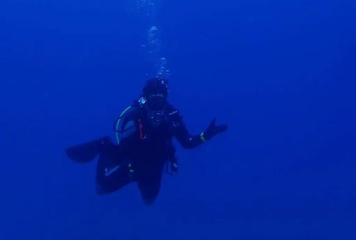 Triggerfish Bit A Scuba Diver Underwater