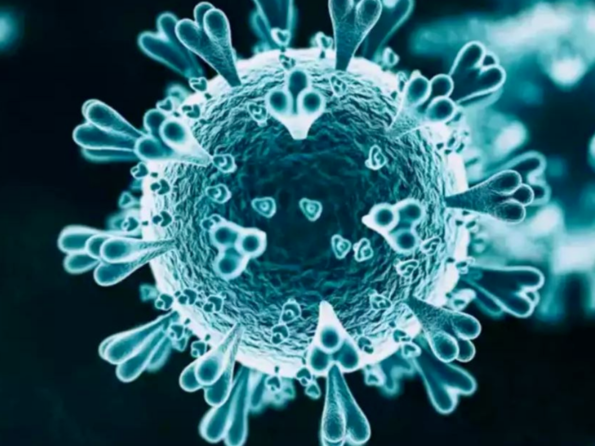 Here's All About Disease X, The Next Pandemic, Which Could Be Worse ...