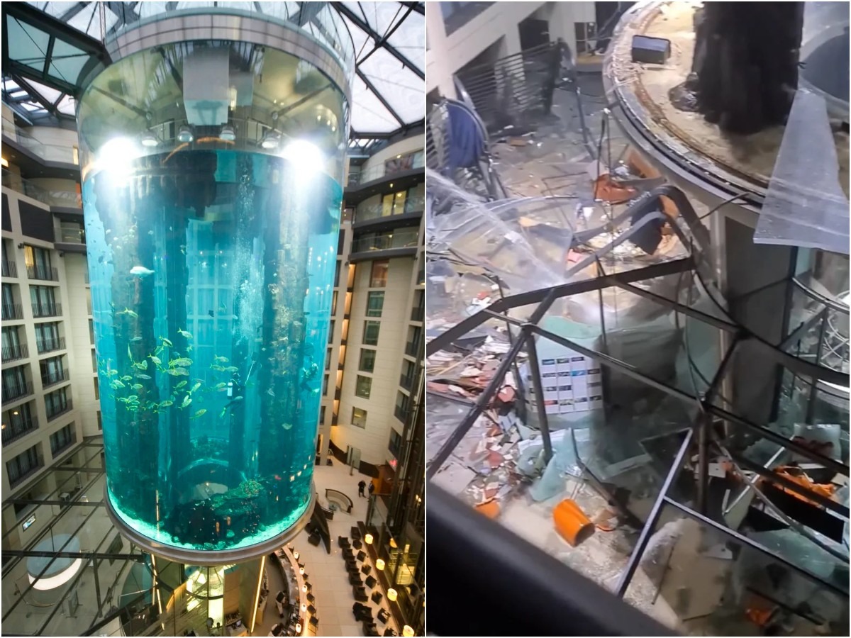 Berlin Aquarium Explodes होटल में रखे 46 फीट के मछलीघर में विस्फोट ...