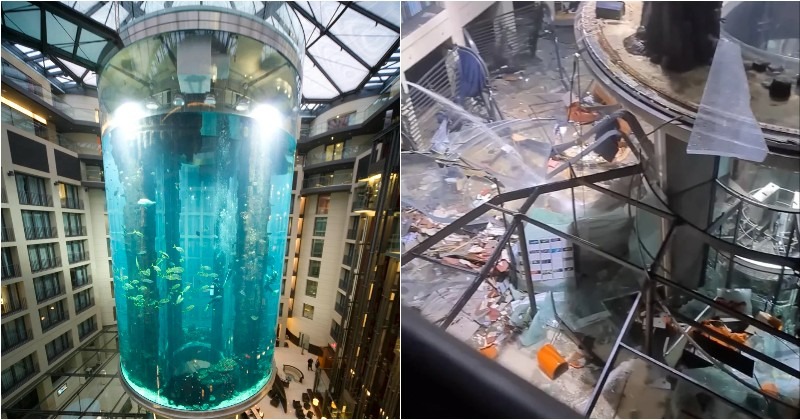 Berlin Aquarium Explodes होटल में रखे 46 फीट के मछलीघर में विस्फोट ...