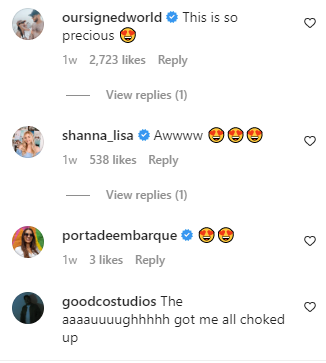 Flight Attendant Signs For Toddler In Adorable Video