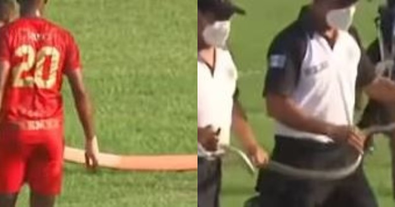 Football Game In Guatemala Halted After Snake Comes On The Pitch