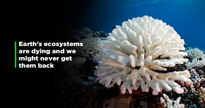 Earth's Ecosystems Are Reaching A Point Of No Recovery From Climate Change