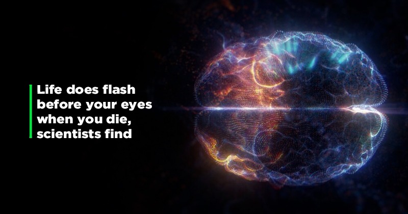 What Happens To Our Brain When We're Dying? Scientists Solve The Riddle