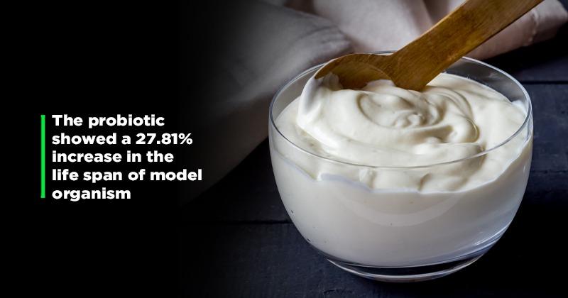 Indian Scientists Create Probiotic Yogurt That Keeps You Younger ...