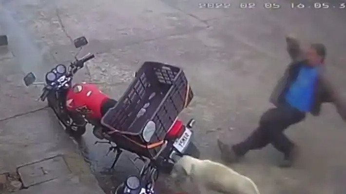 Man Tries To Kick Stray Dog, Slips And Hits The Ground Hard
