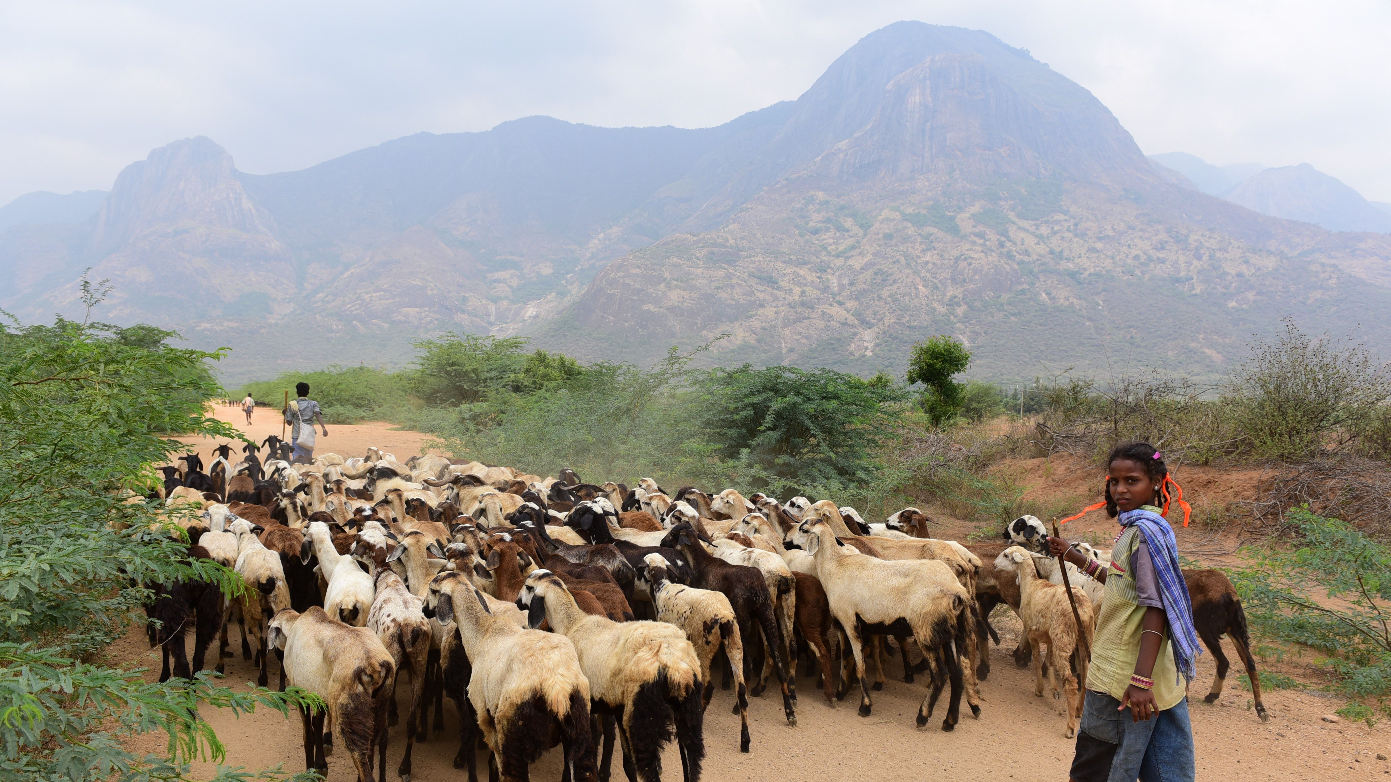 All You Need To Know About Indian Neutrino Observatory And Why Tamil ...