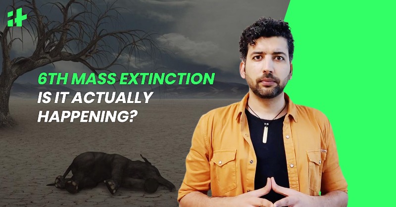 Sixth Mass Extinction - Is It Actually Happening?