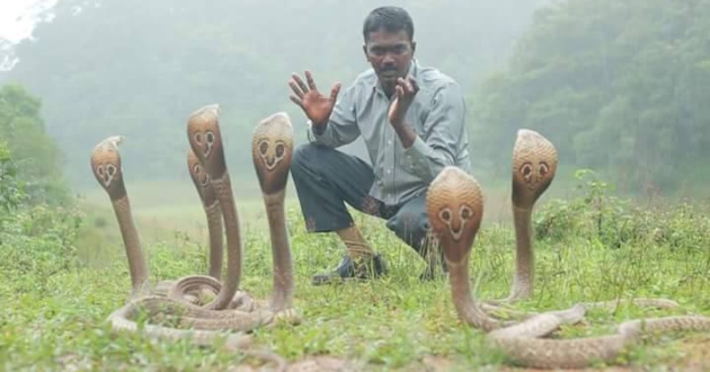 Kerala’s Snake Man Who’s Defied Death Many Times