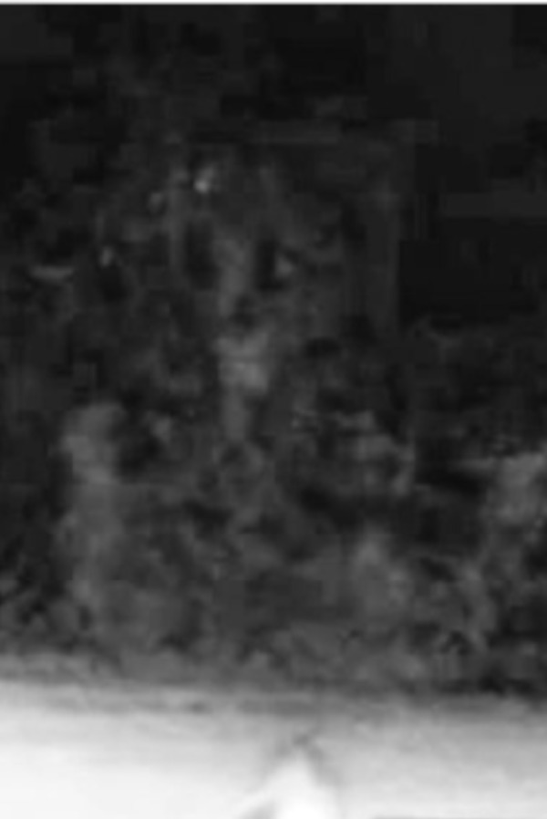 Ghost Hunters Catch Ghost On Camera At RAF Base