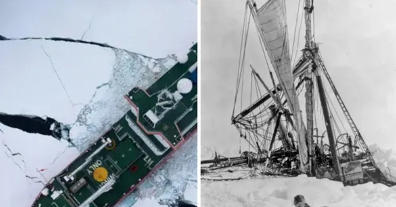 Ship SA Agulhas II Gets Stuck In Ice While Searching For Famous Vessel