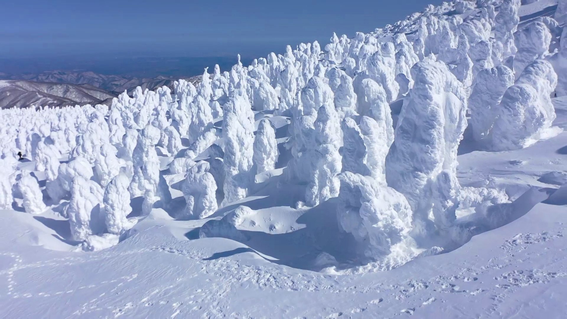 Juhyos: Japan’s ‘Snow Monsters’ Appear On Mount Zao Again