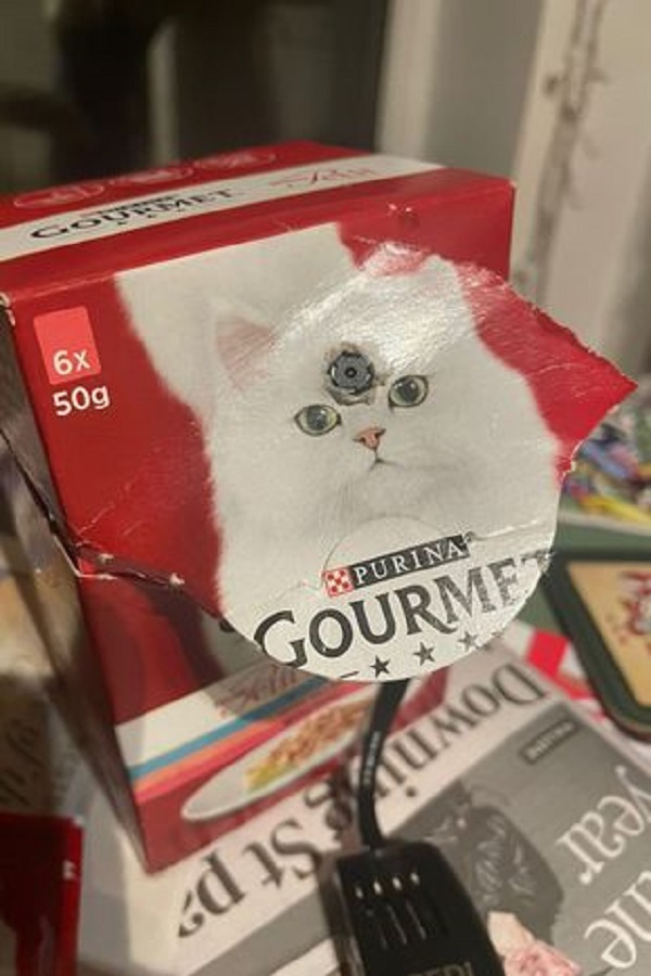 Spy Camera And Transmitter Hidden In Cat Food Packet