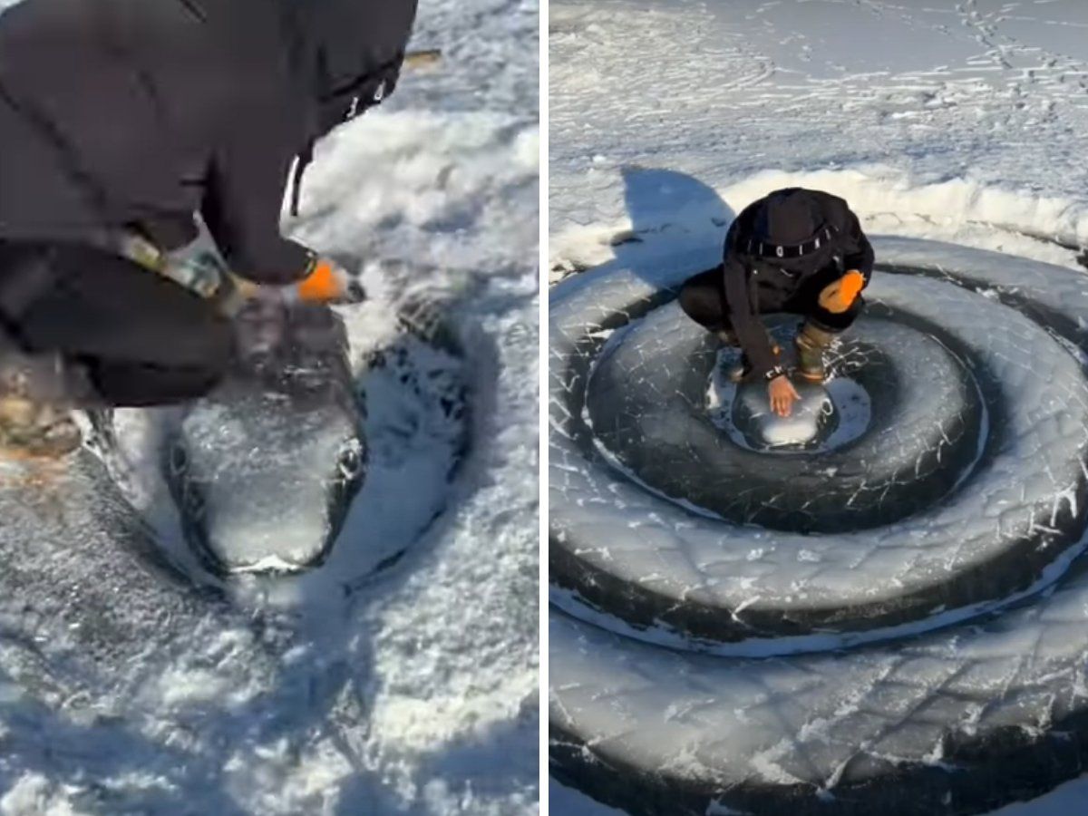 Man Creates Life-like Ice Snake Sculpture Realistic Enough To Frighten ...