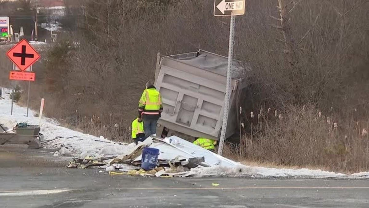 Monkeys Escape As Truck Crashes On Highway, Caught After Search Operation
