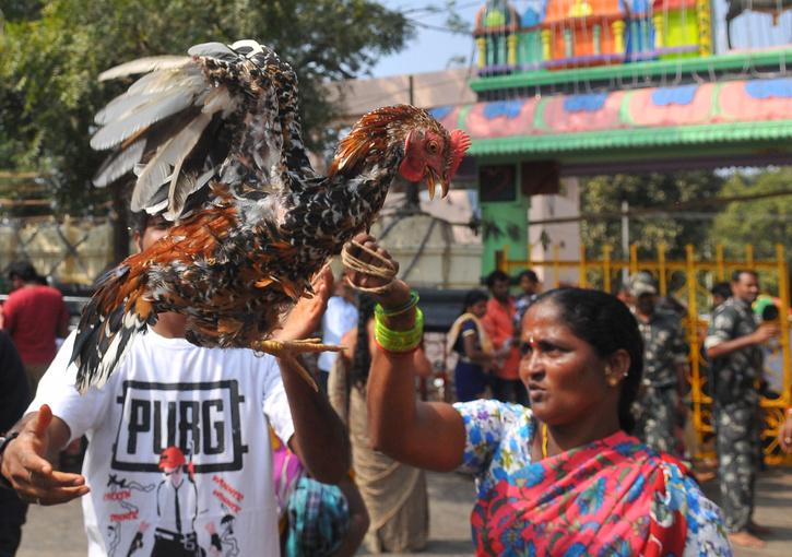 Explained: What Is Sammakka Saralamma Jatara And There Is Demand To ...