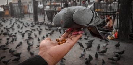 13 Strange Laws Around The World You Must Know Them If You Are Planning ...