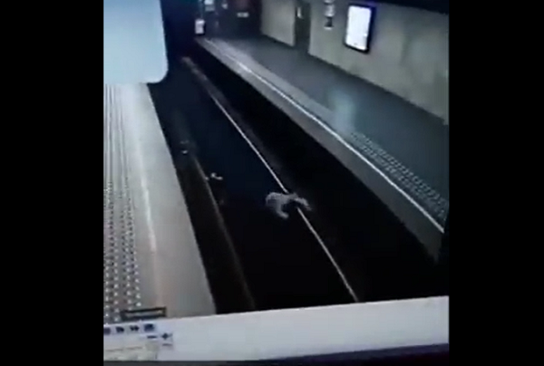 Train Stops Inches Away From Woman Who Fell On Tracks