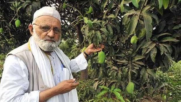 Meet India’s Mango Man, Whose 120-Year-Old Mango Tree Produces Over 300 ...